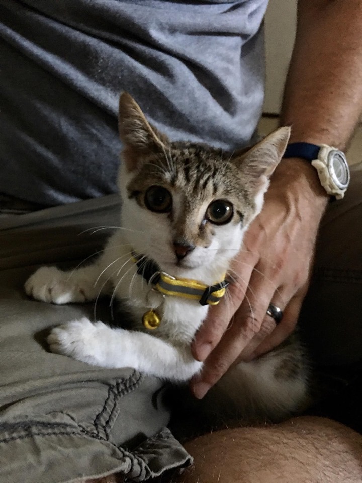 kenneth in the (212): Page 1 Roundup (08/07)