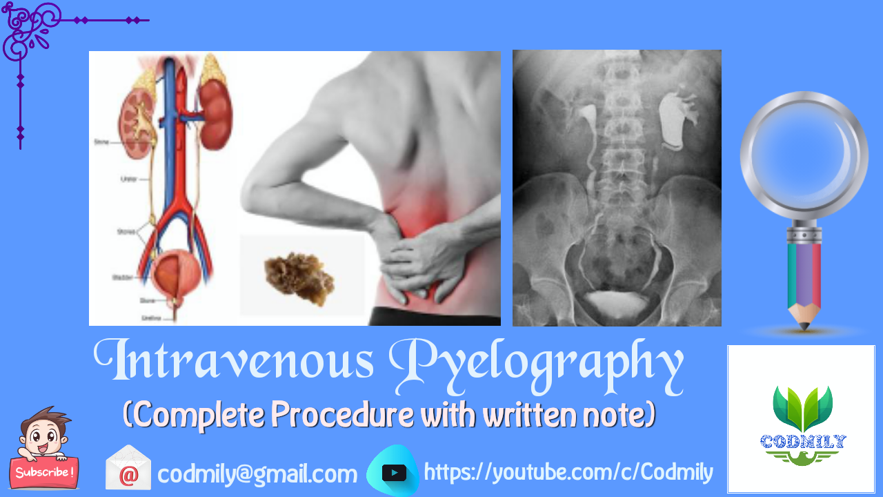 The Radiological Educational Network 26 Intravenous Pyelography the-radiological-educational-network-26-intravenous-pyelography