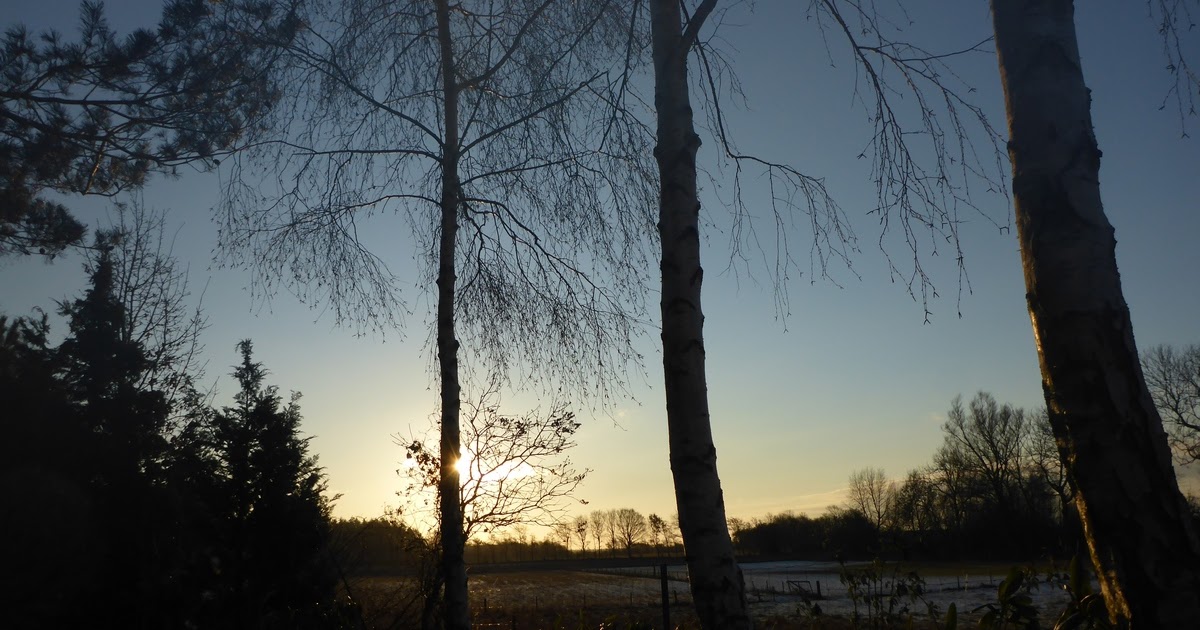 Høneballehaven på Samsø og Hellerupvej på Fyn: Sol og kulde og lidt om frost og rhododendron