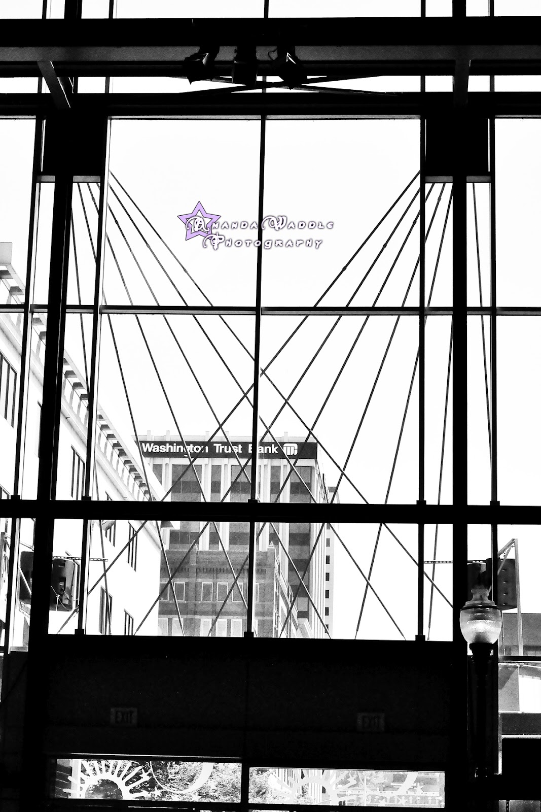 Amanda Waddle Photography