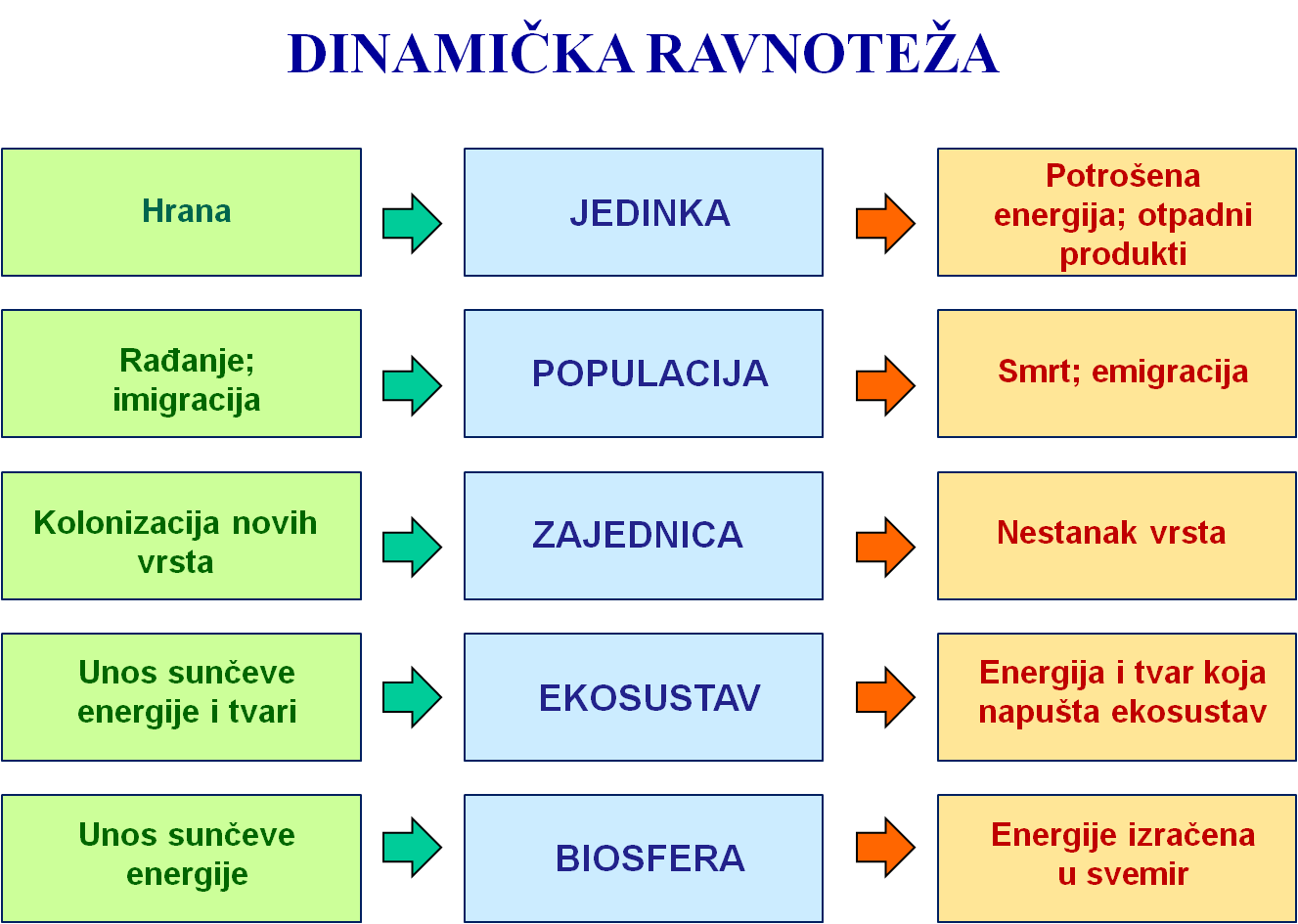 Razumijevanje ekoloških principa