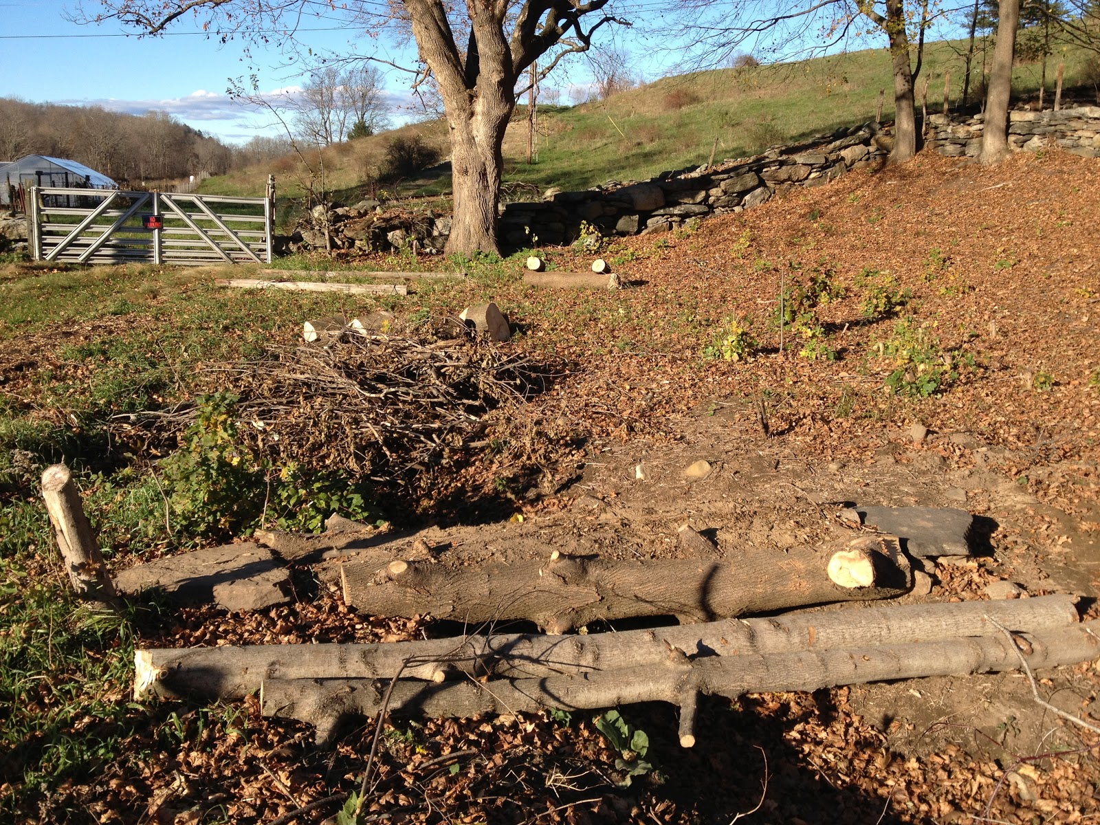 EcoHouse at Spring Valley Student Farm: Emergency Update