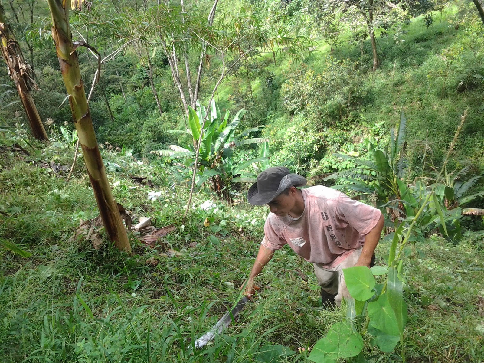explotación agropecuaria san francisco: BITACORA NUMERO SEIS