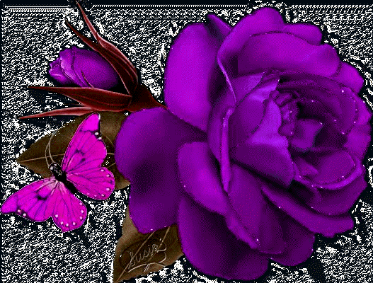 Imagenes bonitas color violeta - Imagui