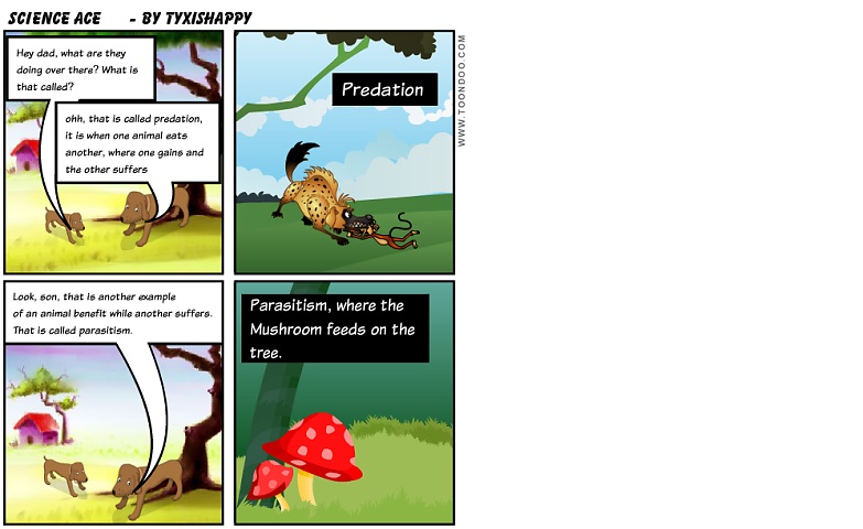 science-eportfolio: Comic strip that I did on ecology