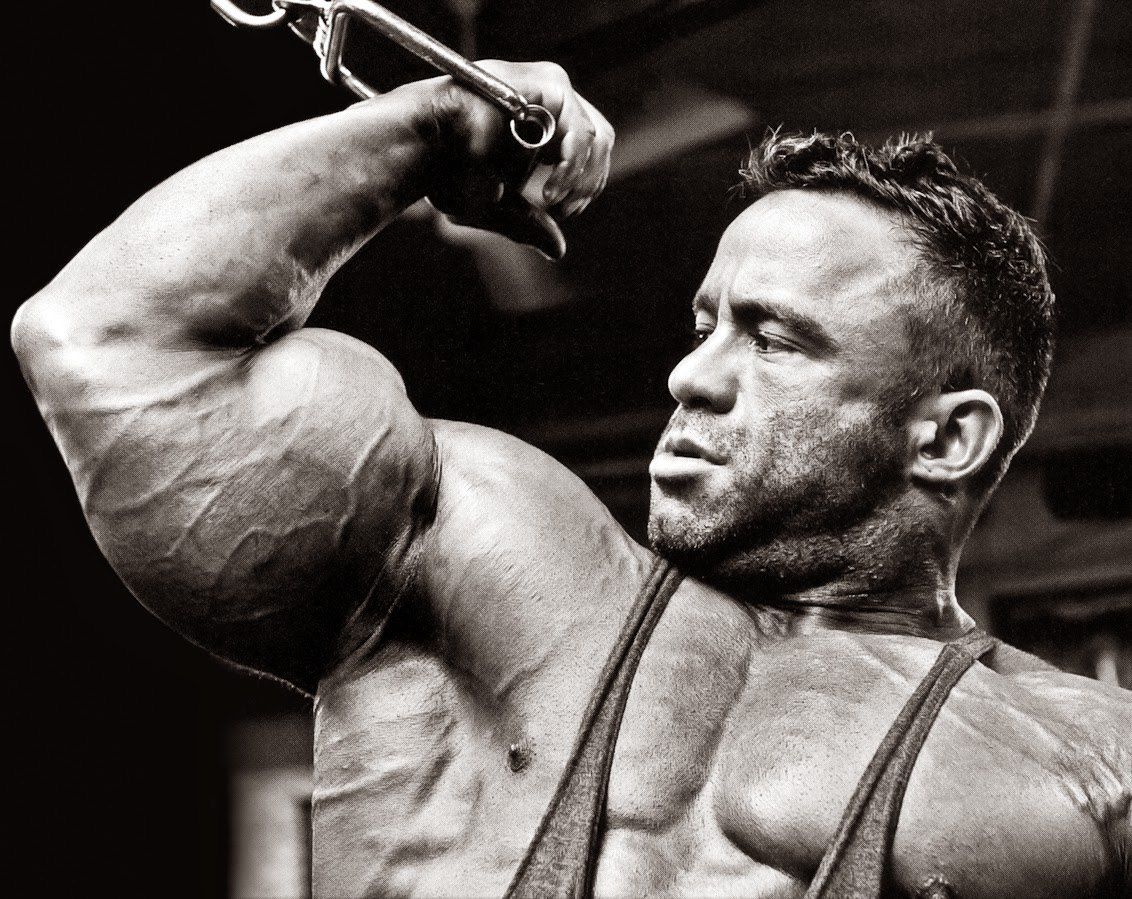 Muscle Lover: Biceps & Biceps (3)