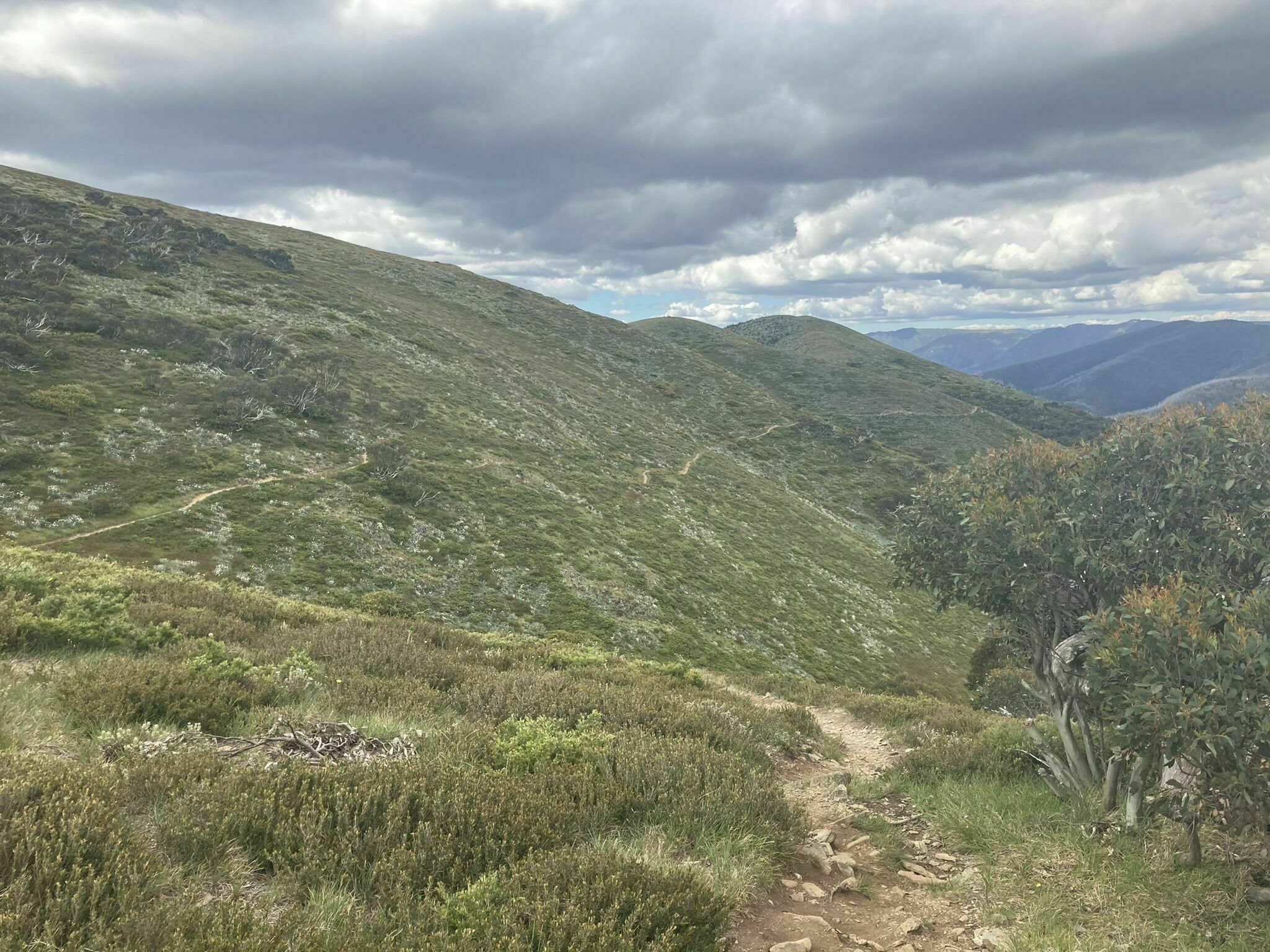 Mount Feathertop via The Razorback