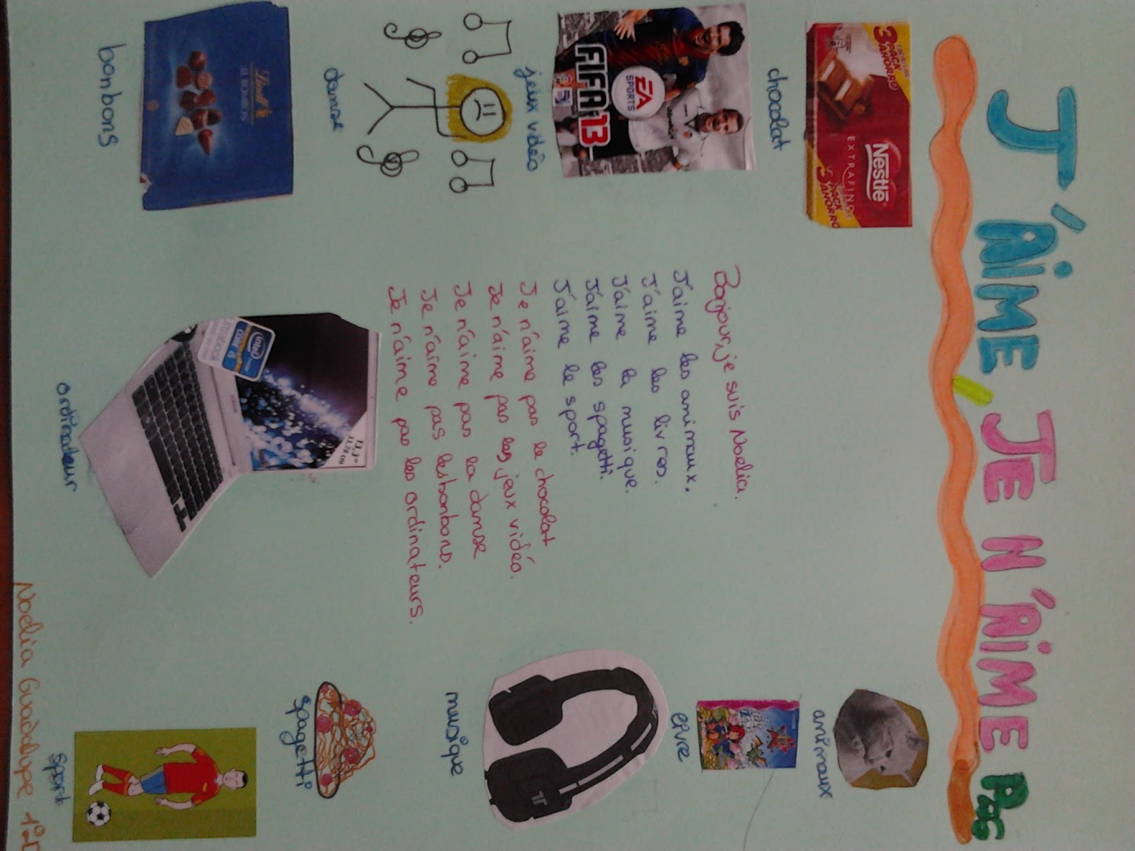 Le blog du JAIME français : J'aime / je n'aime pas