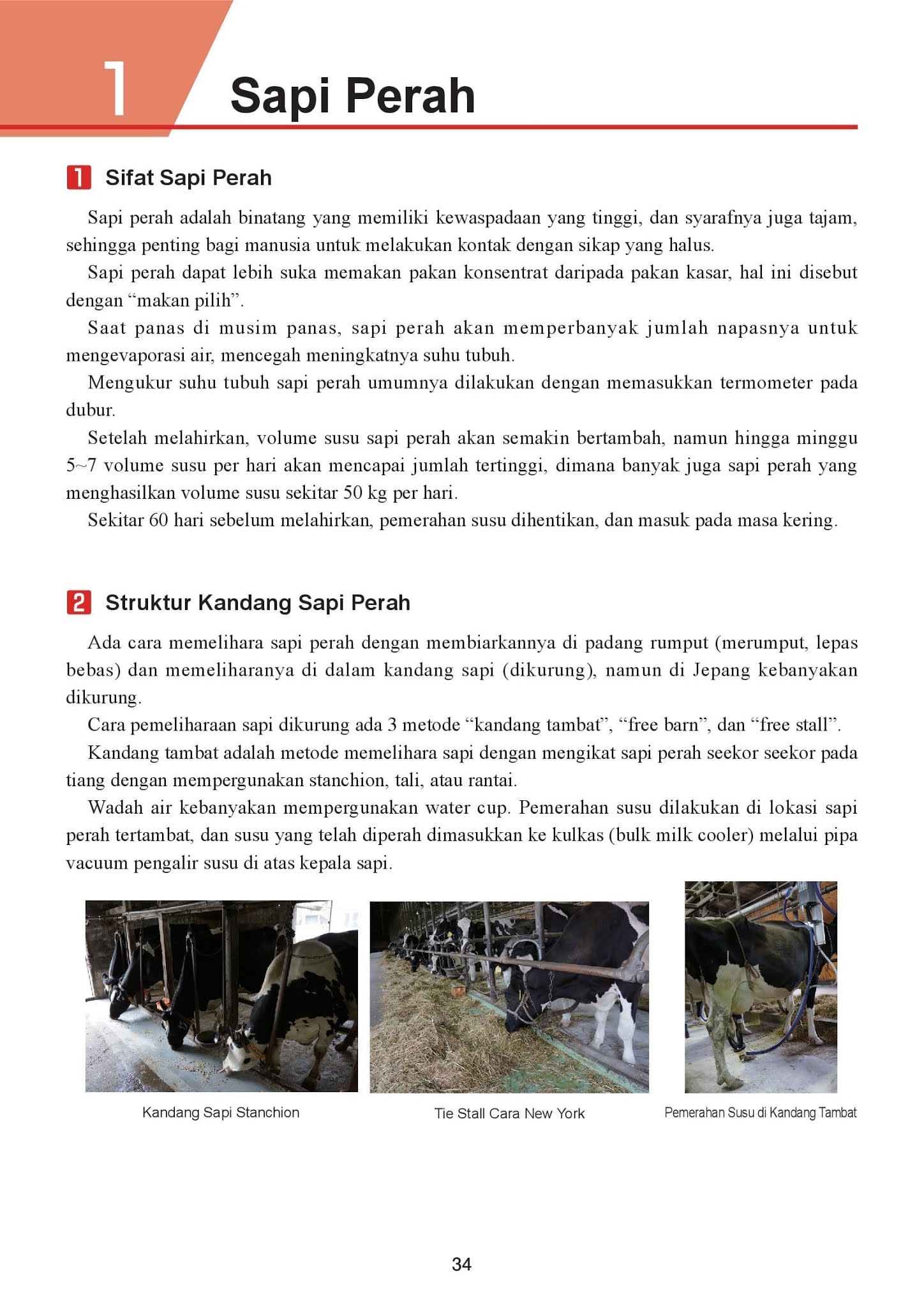 PETERNAKAN BAHASA INDONESIA