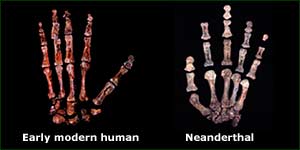 Early Genesis: The Revealed Cosmology: Did Neanderthals Really Paint ...