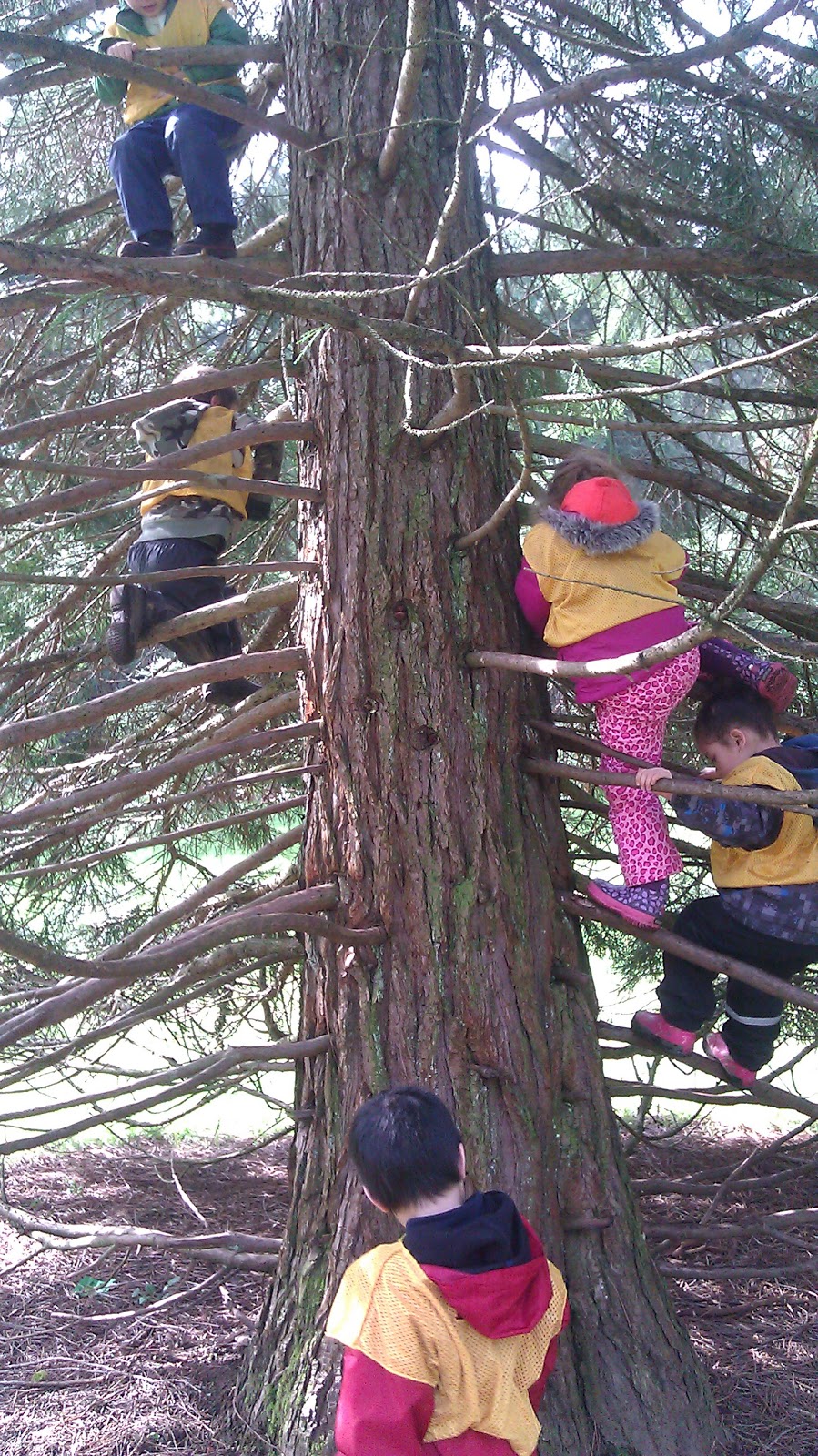 The Outdoor Preschool - Nurture through Nature: Muddy, Mucky Algae!