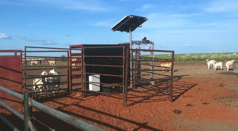 Expedition Earth: Labour intensive and Labour extensive