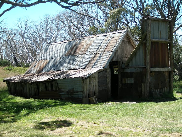 walkabouters club of victoria inc: Pretty Valley - Tawonga Huts - Mount ...