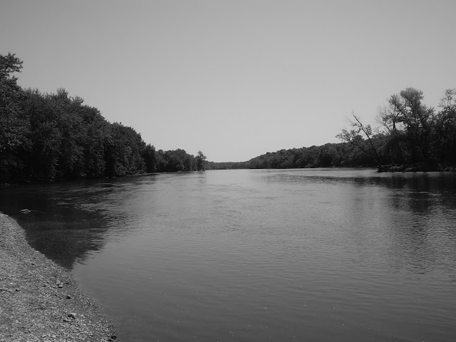 The Digital Research Library of Illinois History Journal™ : The ...