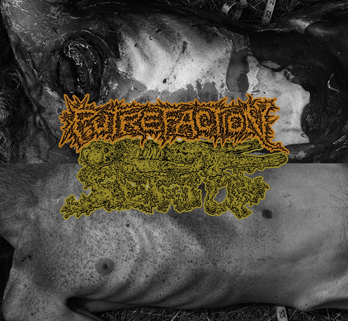 RUIDO NOISE: PUTREFACTION SETS IN