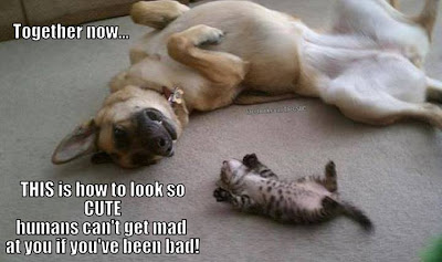 Nick's Bytes: Lots of Too Bad It's Monday Jokes, Cartoons, KATZ