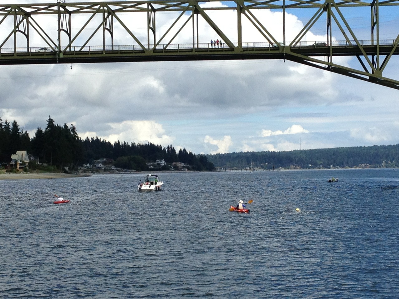 Bikini bridge | [組圖+影片] 的最新詳盡資料** (必看!!) - www.go2tutor.com