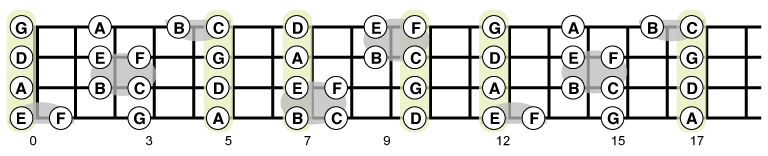 Bass Fretography: Bass Fretboard Symmetry