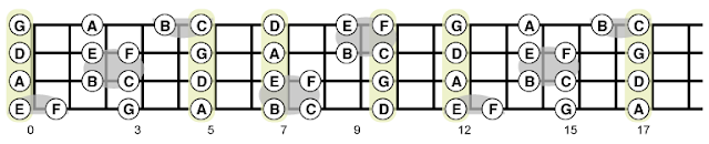 Bass Fretography: Bass Fretboard Symmetry