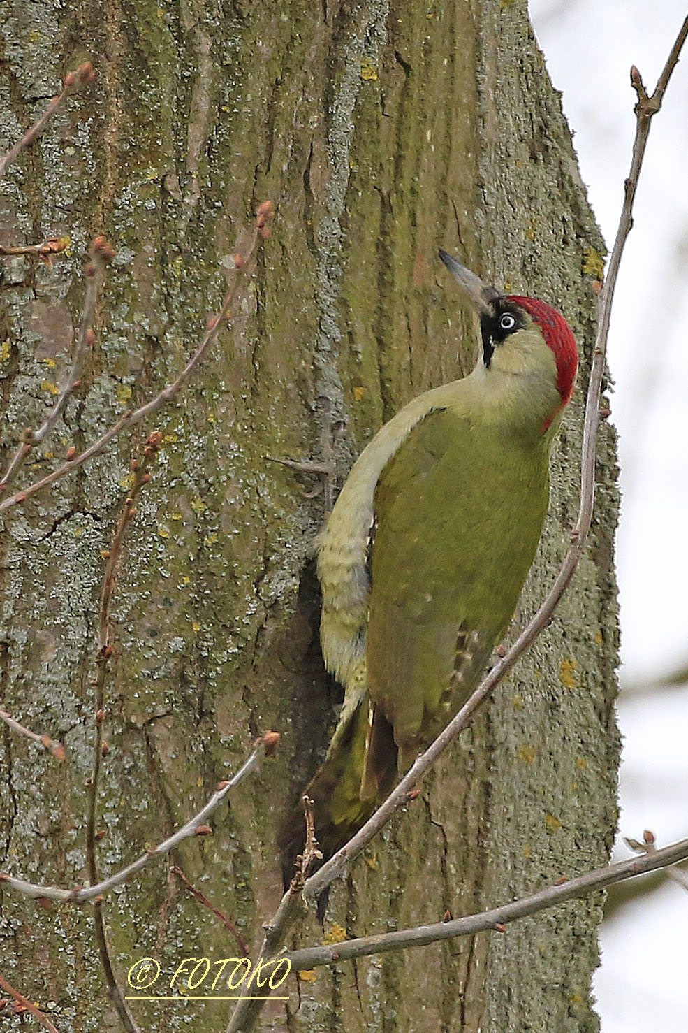 NatuurlijkNatuur: juli 2020