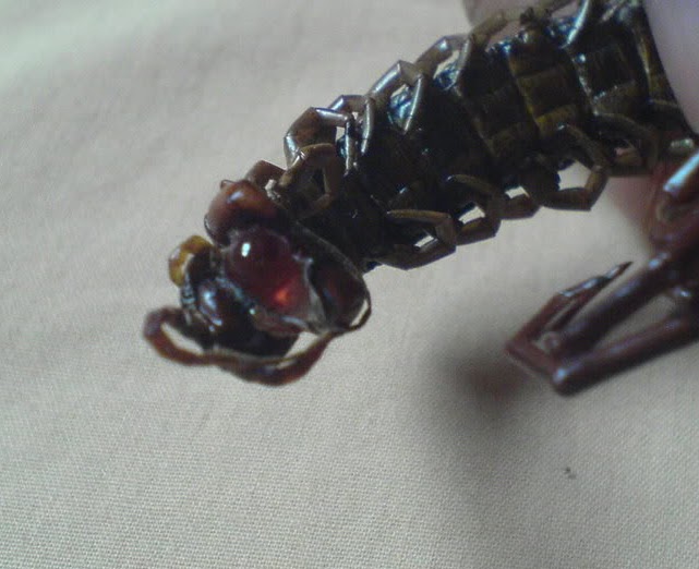 Between Science And Religion: The Pearl Of Centipede (Geliga Lipan)