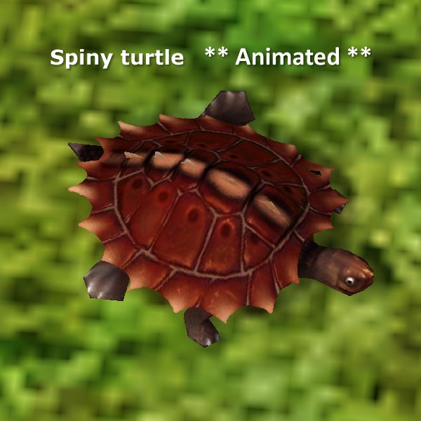Simming in Magnificent Style: Spiny turtle ** Animated