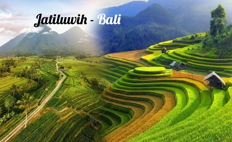 JATILUWIH - Tabanan - Bali - Bali Media Centre