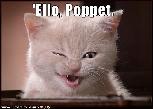 Boardwalk Amblers Anonymous: Ello Poppet