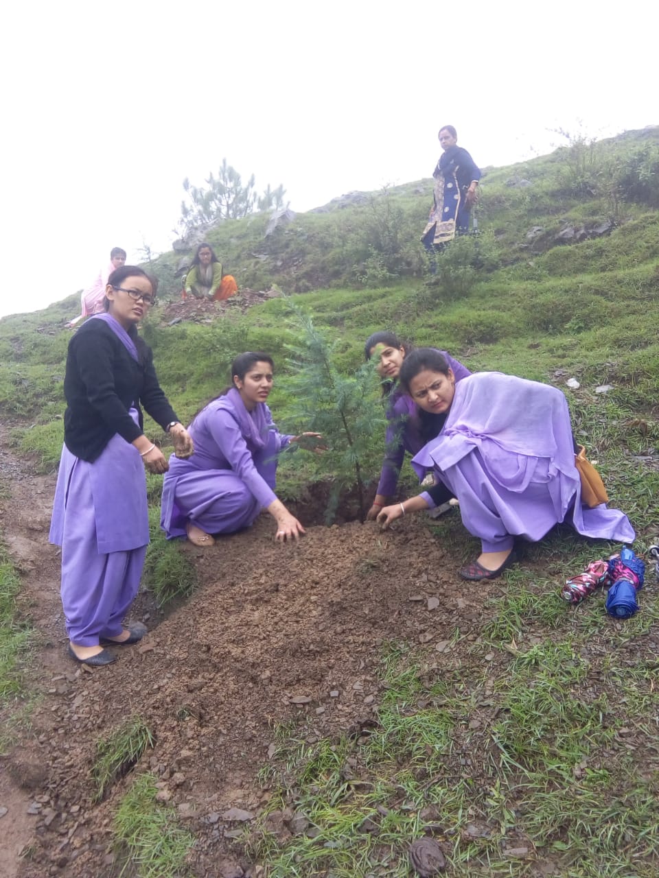 Tree plantation Day held on 27/7/2019 - Shantialya