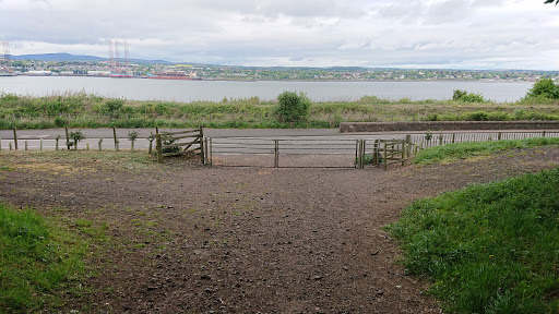 Pauls Leisure Walks: Tayport-Serpentine Walk (approx. 4 miles, 1hr 30min)