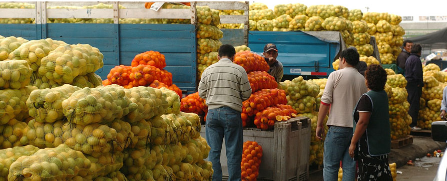 De:mi Para:ti, con amor: Lugares: Lo Valledor