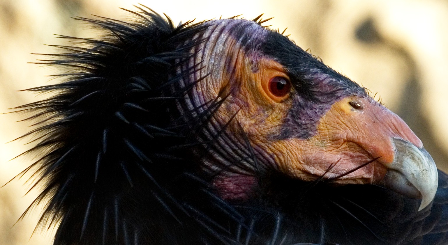 Natureza, Perfeição sem tamanho...