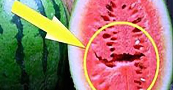 DO YOU LOVE WATERMELONS?? IF YOU SEE THIS SPLIT INSIDE WATERMELON THROW ...