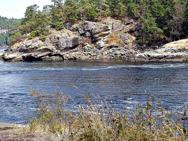 Everything Nanaimo: DODD NARROWS