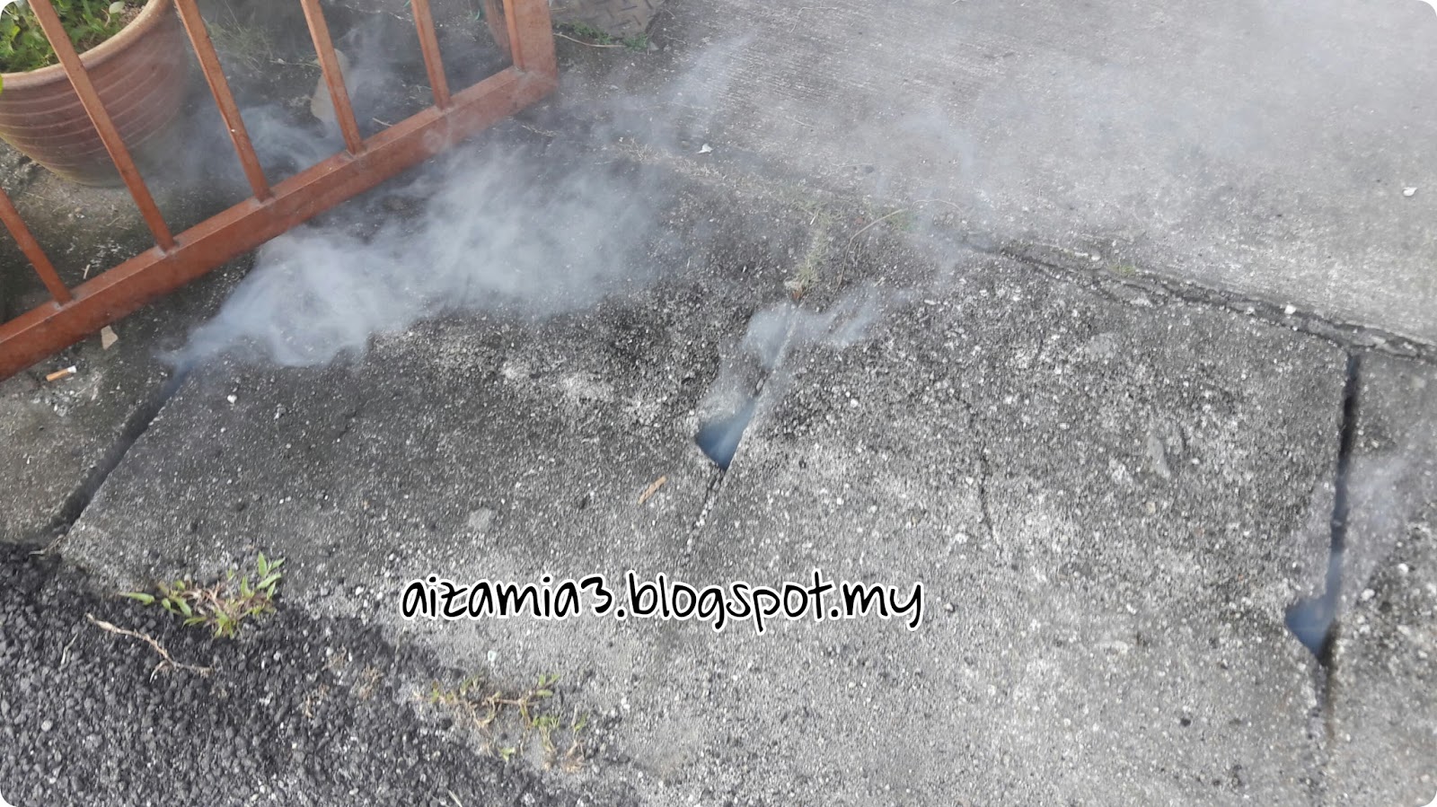 MakBudak a.k.a RemajaPurba: Semburan Kabus @ Fogging di TDBi