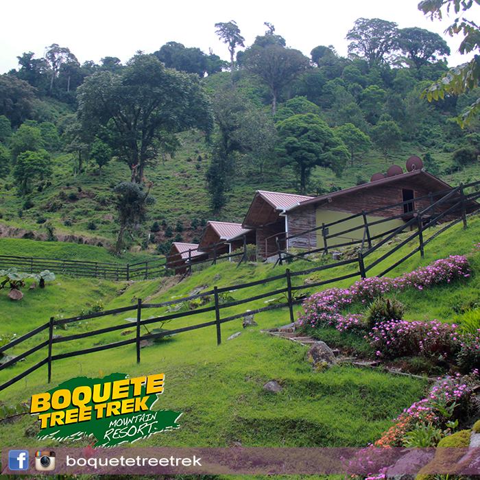 BOQUETE TREE TREK EMOCIÓN Y AVETURA