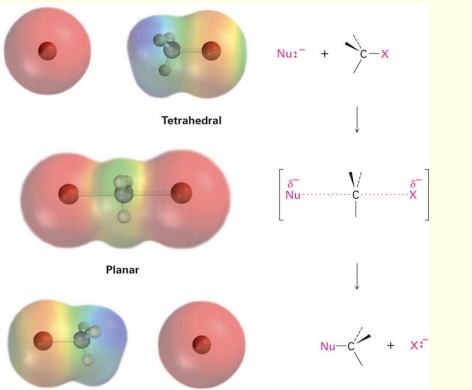 Reaksi C-C Penyerangan Elektrofil dan Nukleofil