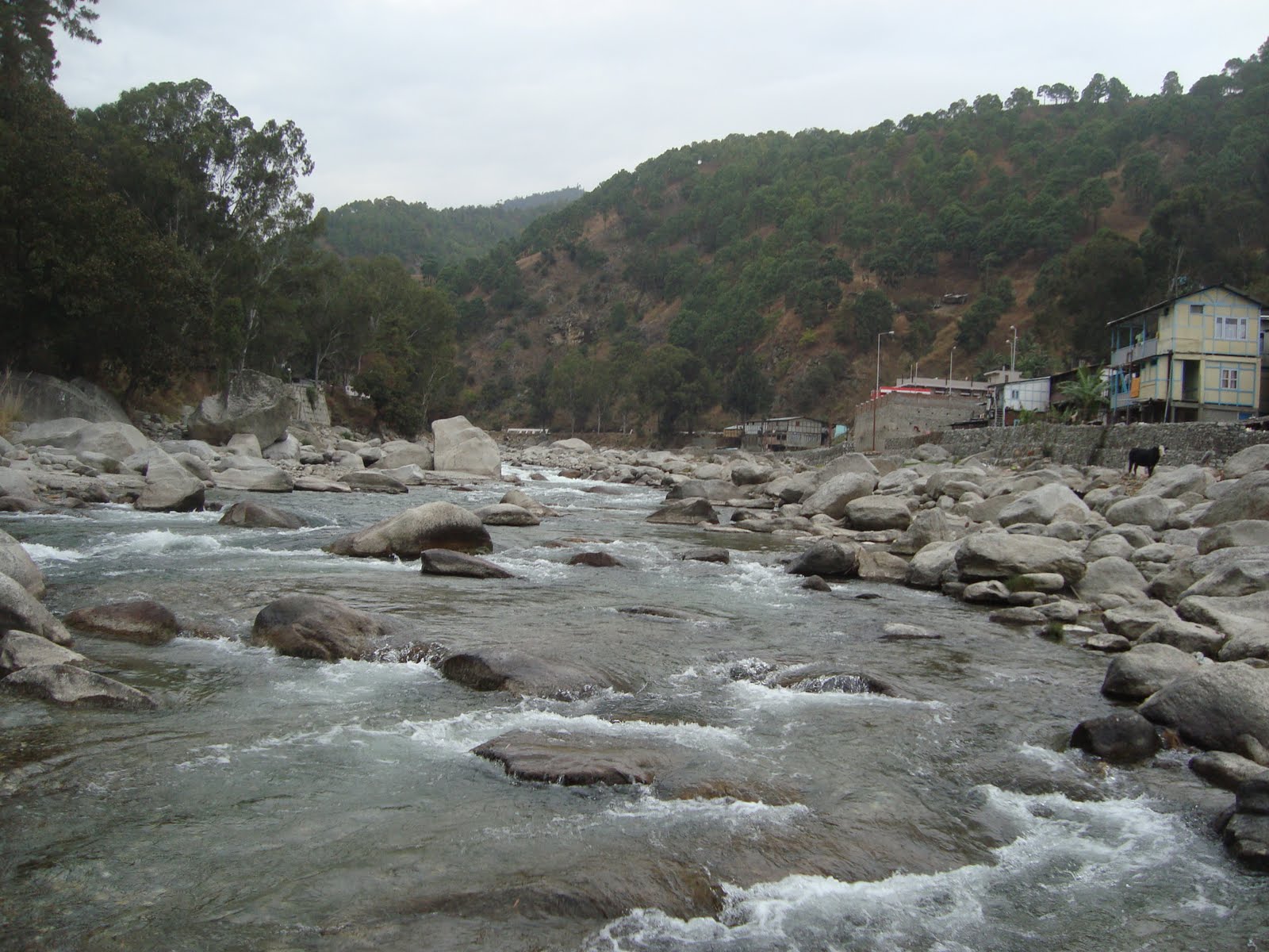 Youth For Nature: My First Trip to West Kameng District (Tenga Valley ...