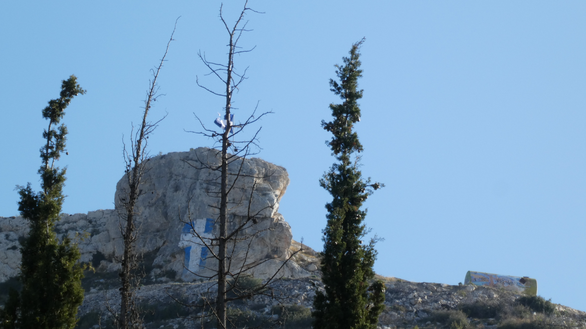 ΑΙΣΘΗΤΙΚΟ ΔΑΣΟΣ ΚΑΙΣΑΡΙΑΝΗΣ