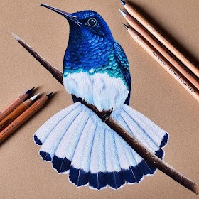 Design Stack: A Blog about Art, Design and Architecture: Animal Pencil ...