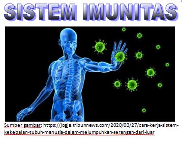 BIOLOGI SMA: SISTEM IMUNITAS