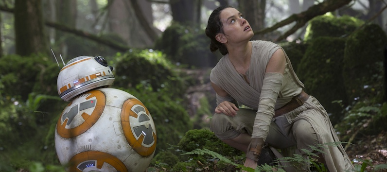 The Reel Roundup | Everything Movies & More: 'Star Wars: The Force ...