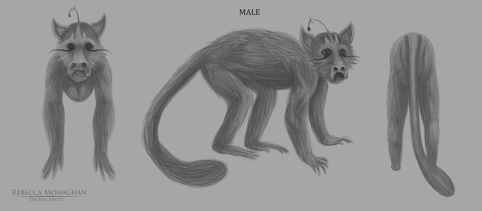 Honours Blog: Creature 2: Male and Female turnaround