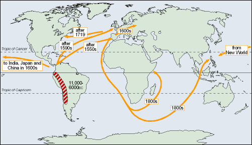 Nutfield Genealogy: Derry, NH's Famous Potato