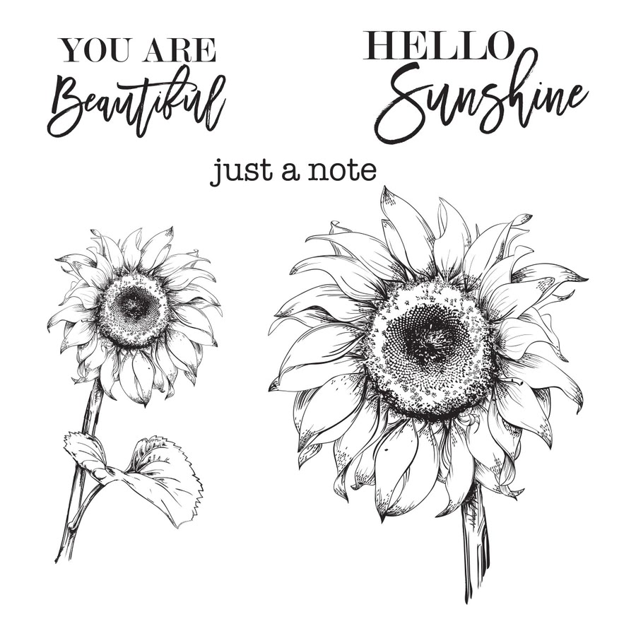 Spellbinders Hello Sunflower Cardmaker Stamp Collection