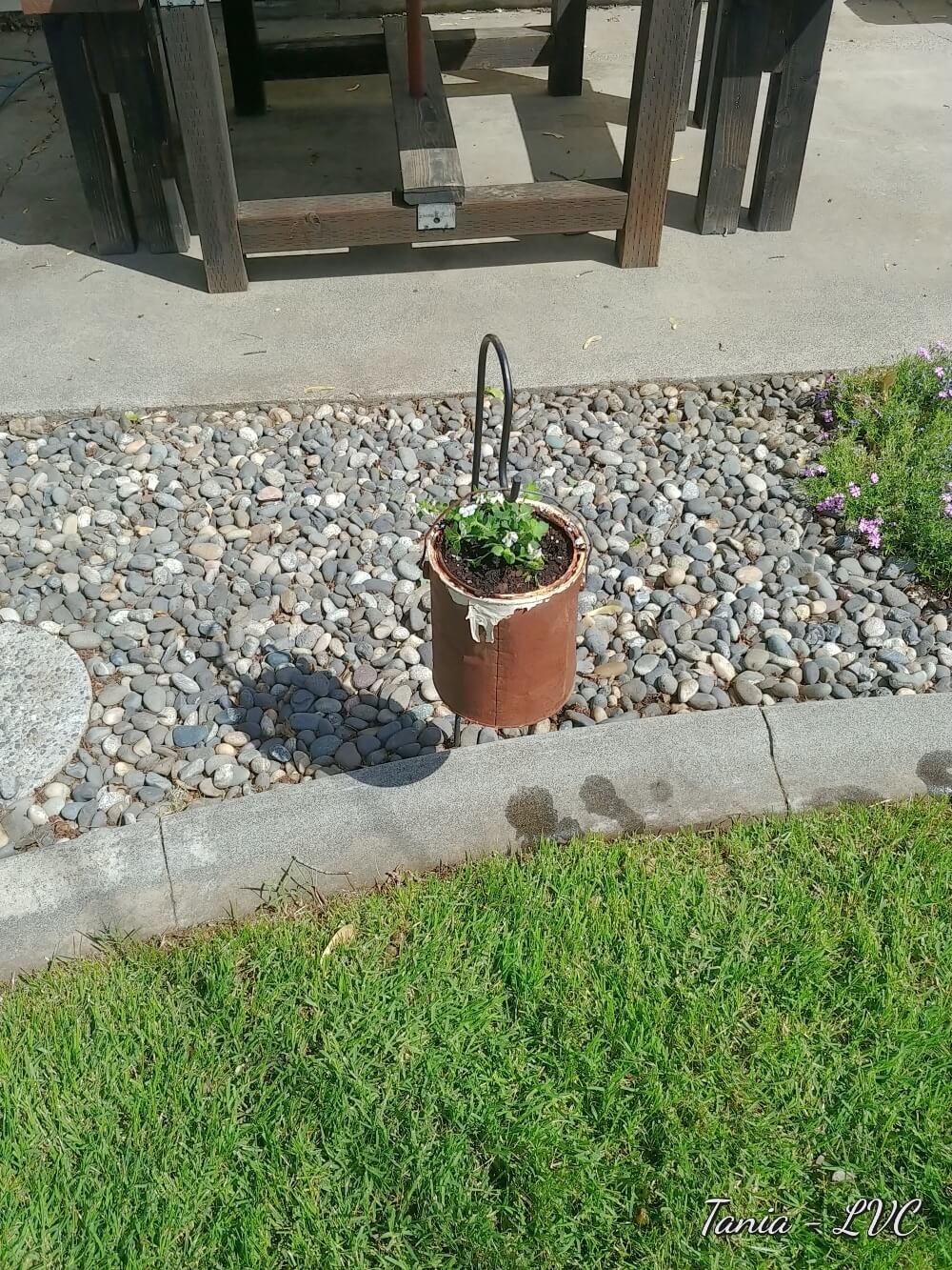 Rusty Paint Can Planters - A Pinspiration Challenge! - Little Vintage ...