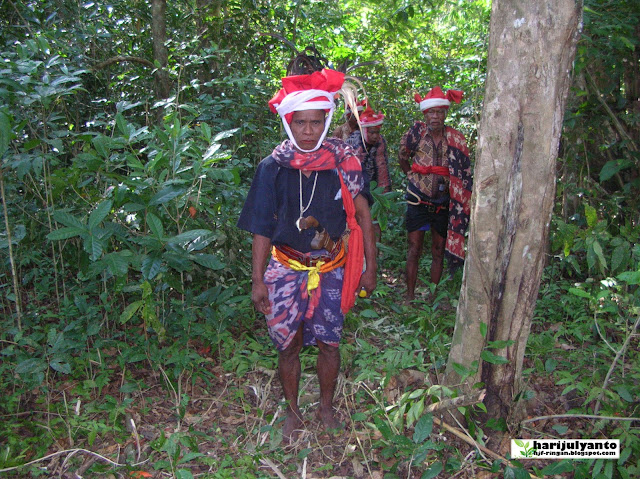 Ringan: Persembahan di Hutan Ritus ( Ritual Purung Taliang Marapu )