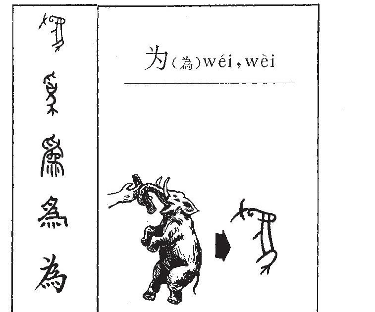 khung: tri chi vi tri chi