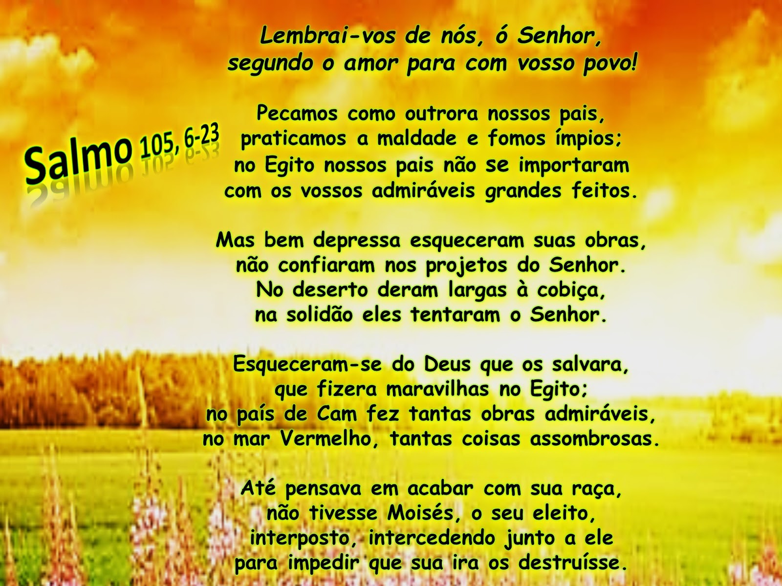 SOMOS DO BEM: Liturgia: NÚMEROS 13.../ SALMO 105/ EVANGELHO MATEUS 15,21-28