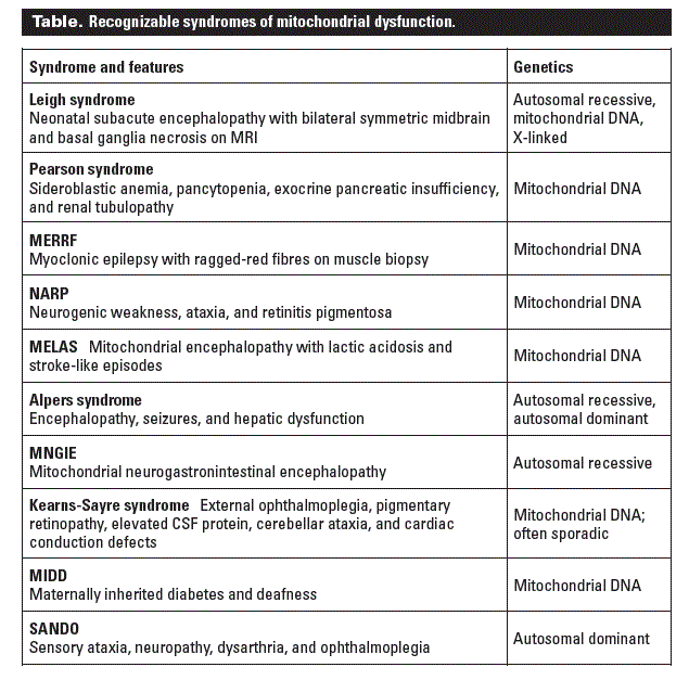CATECHIZE: Mitochondrial Diseases their Types, Diagnosis & Treatment ...
